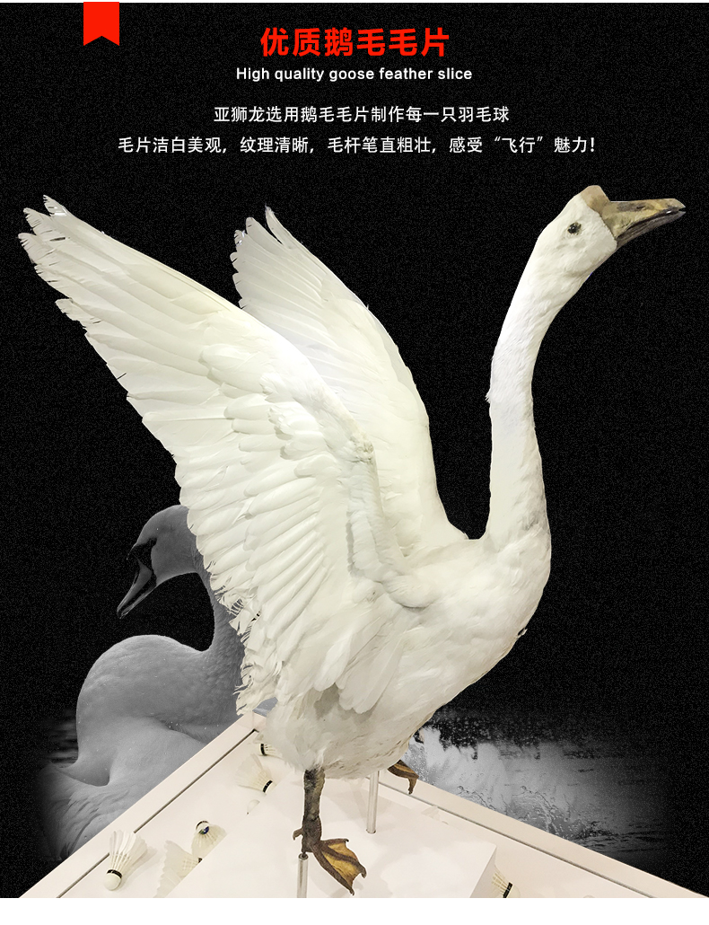 亚狮龙 RSL D5 鹅毛软木羽毛球 - 爱羽客正品羽毛球装备购物商城